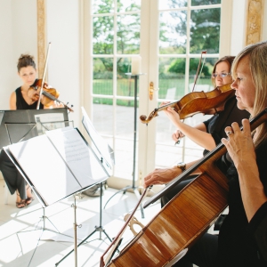 Hampshire String Quartet | String Quartet Hampshire | Alive Network